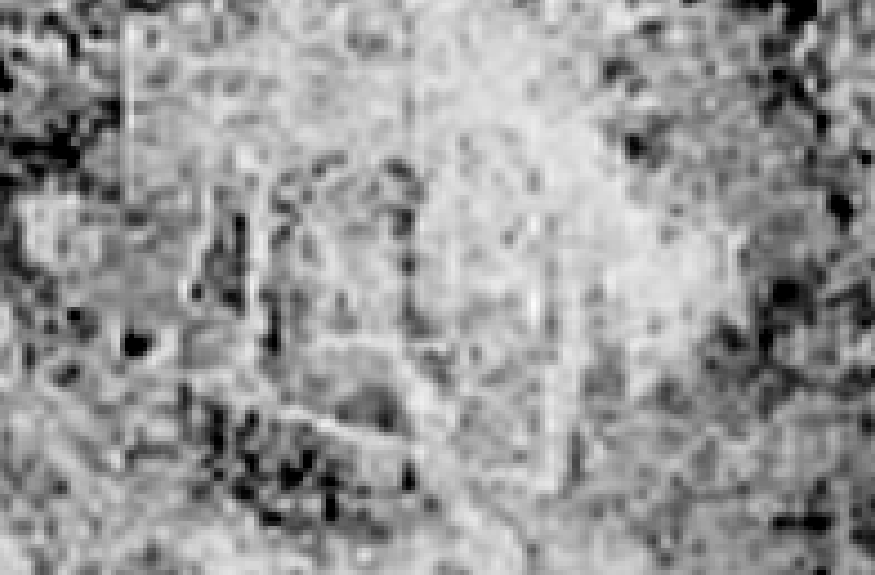 Archaeological Subsurface Survey - GeoScan