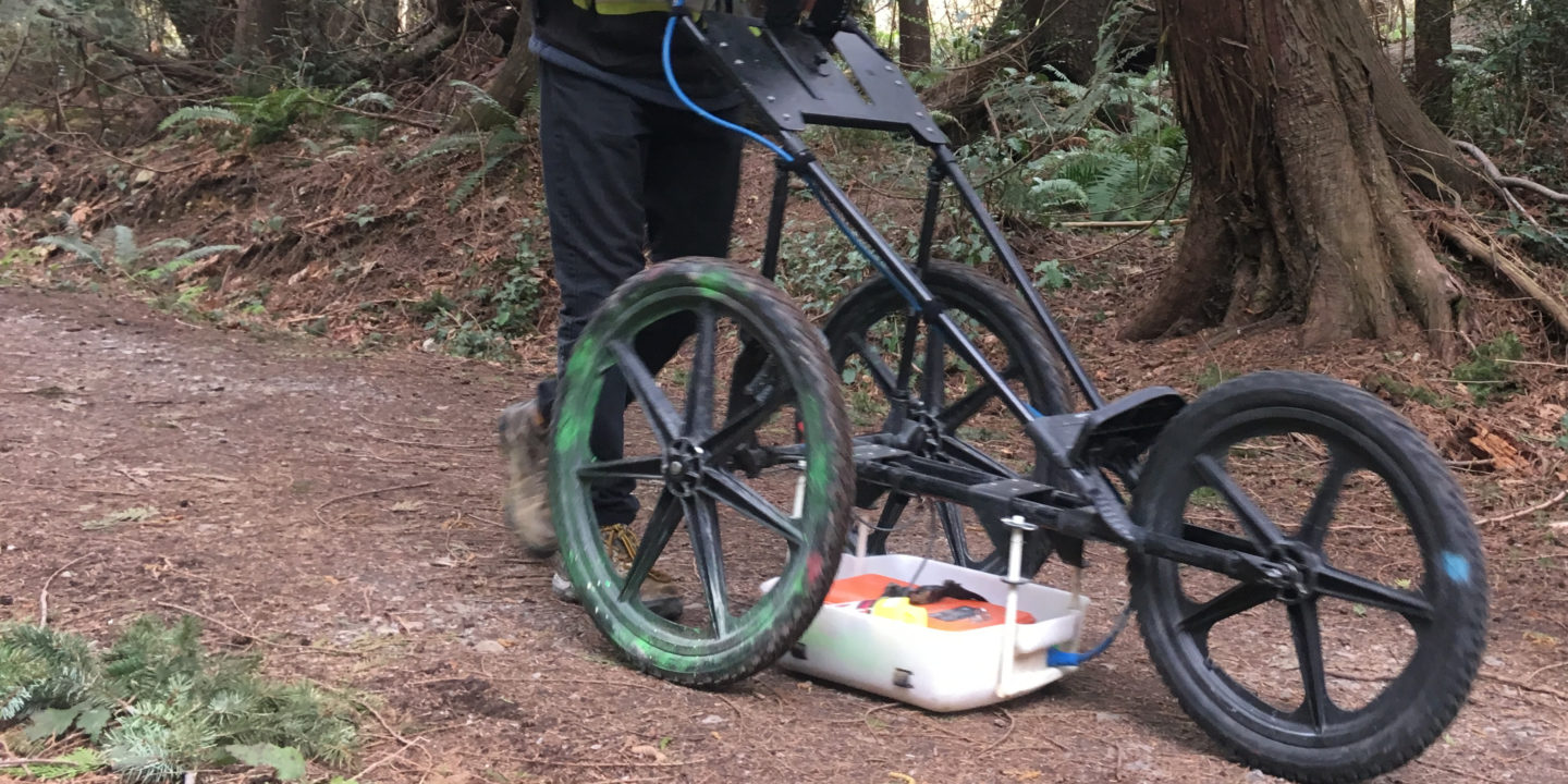 Tree Root Mapping Projects in British Columbia | GeoScan