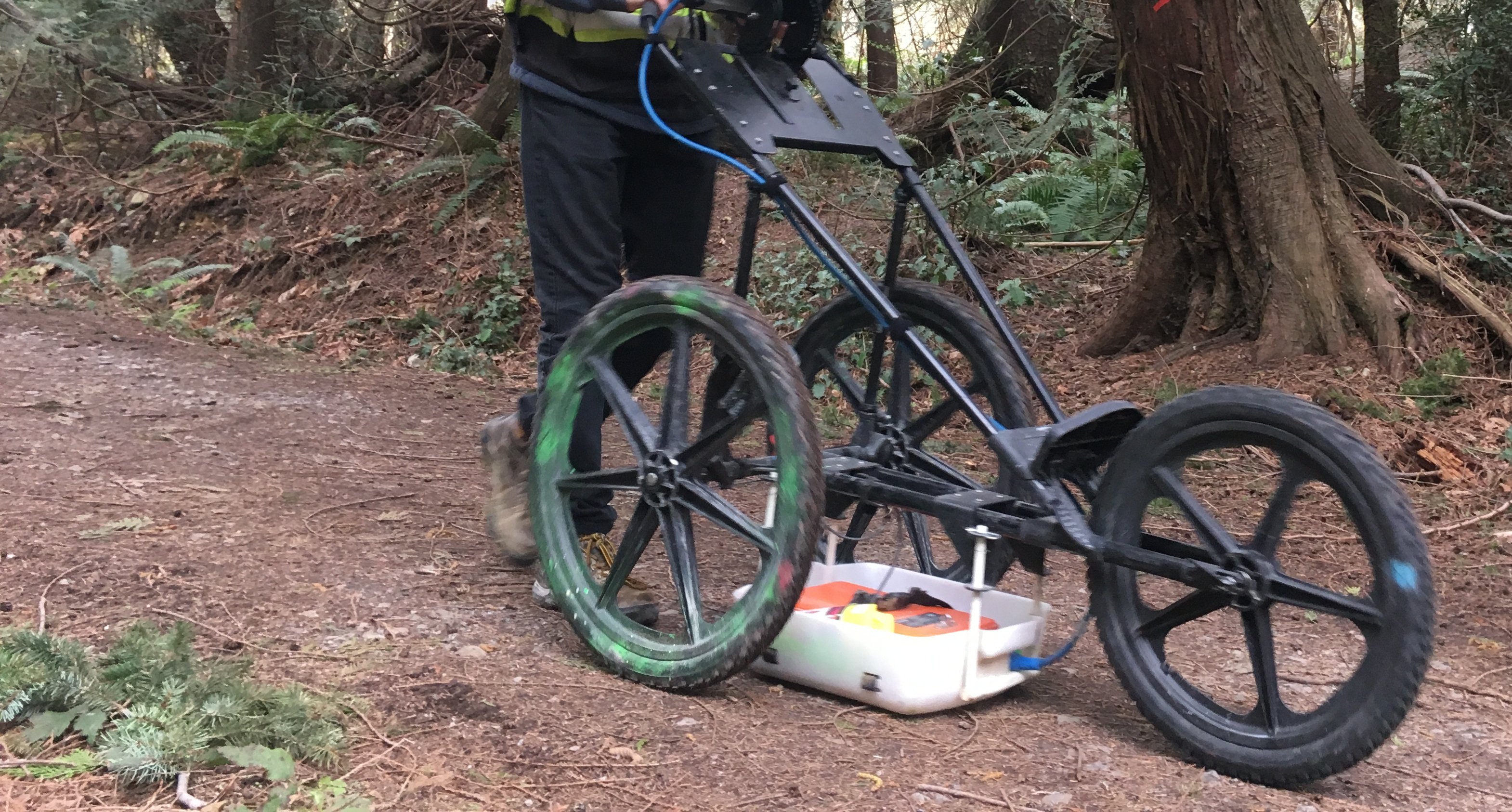 Tree Root Mapping Projects in British Columbia | GeoScan