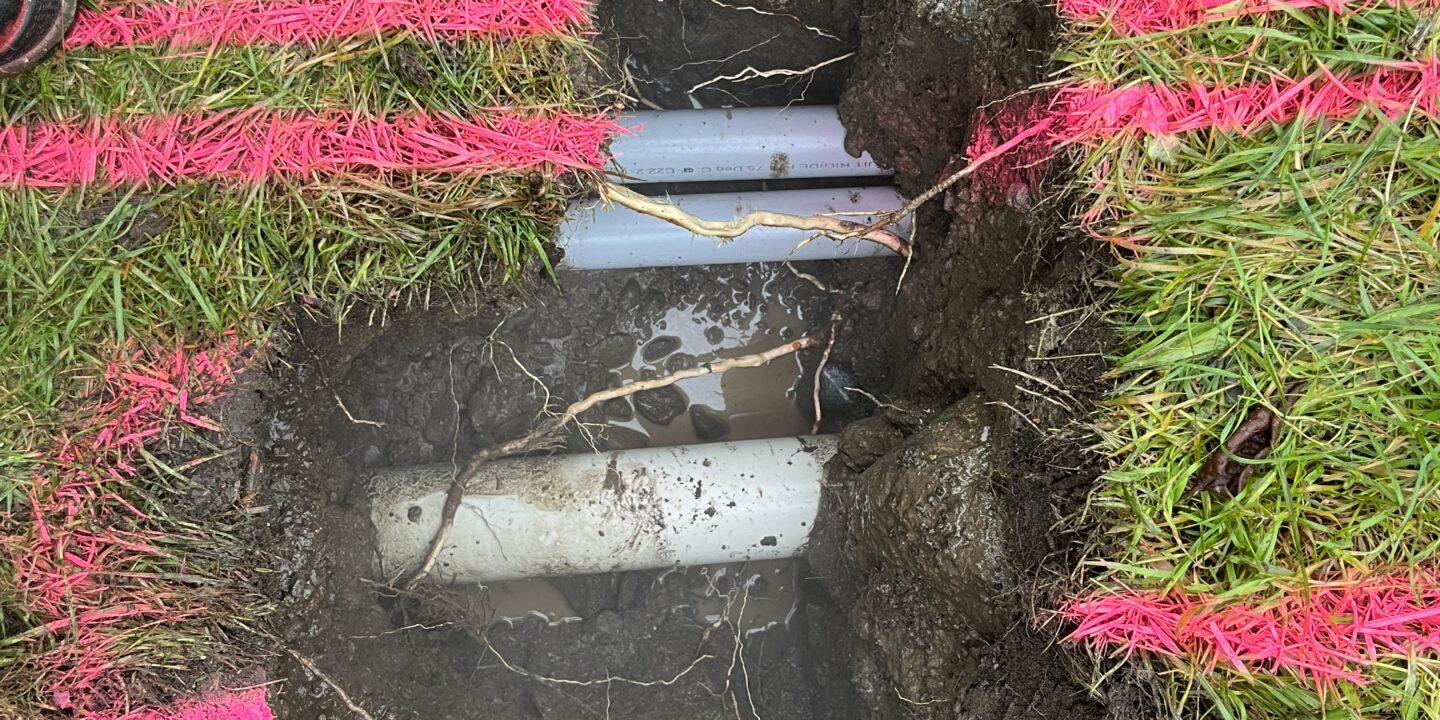 SUE QL-A Daylighting’s Transformative Power - GeoScan