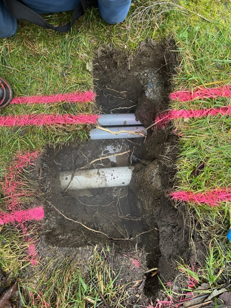 SUE QL-A Daylighting’s Transformative Power - GeoScan